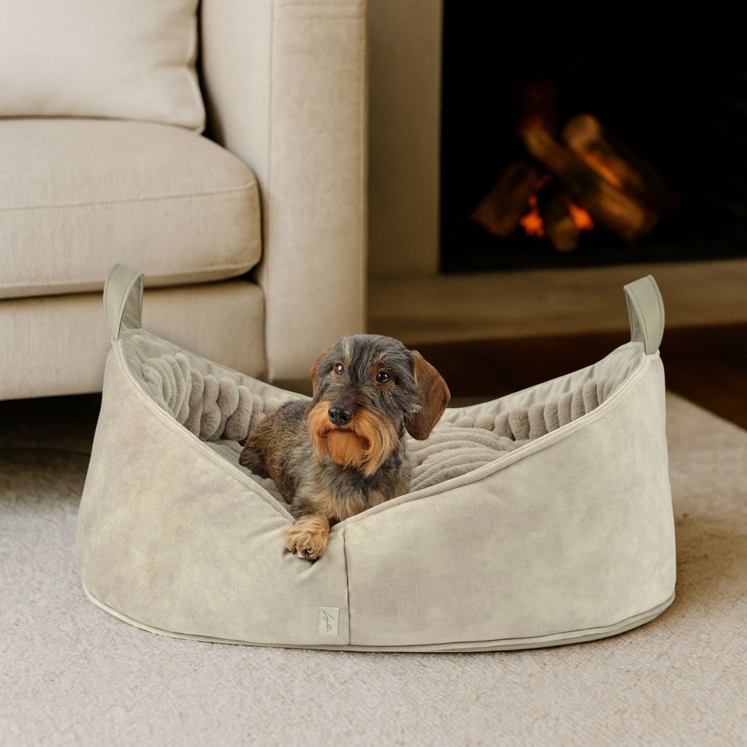 dog beds and blankets | leopolds-finest