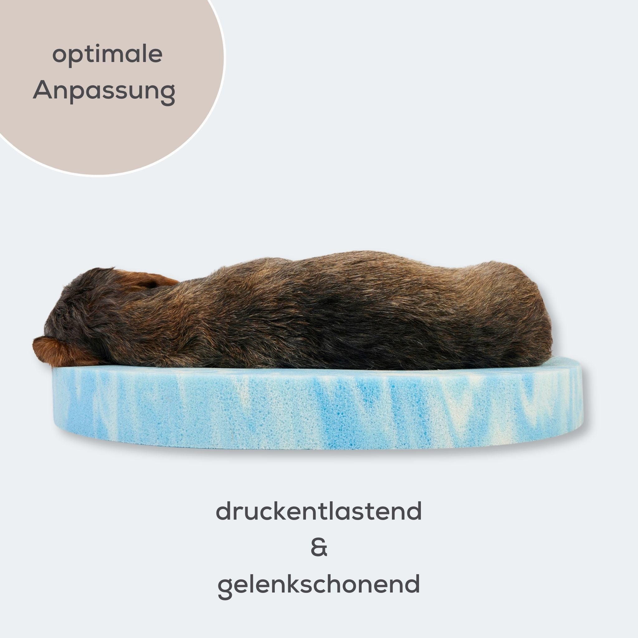 High-quality orthopedic dog beds | Leopold's Finest for dogs