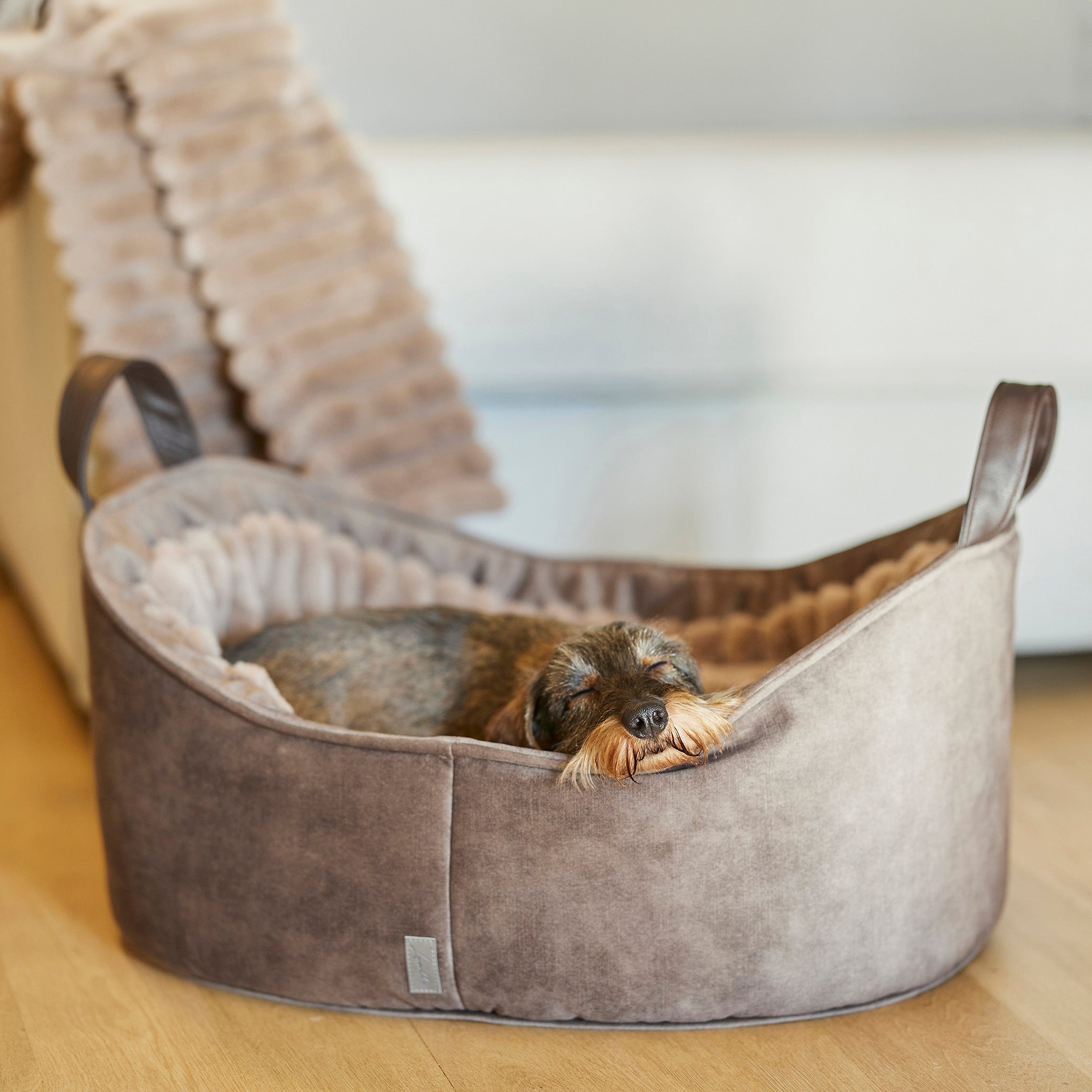 Bestseller 2025 | Leopold's Finest for dogs