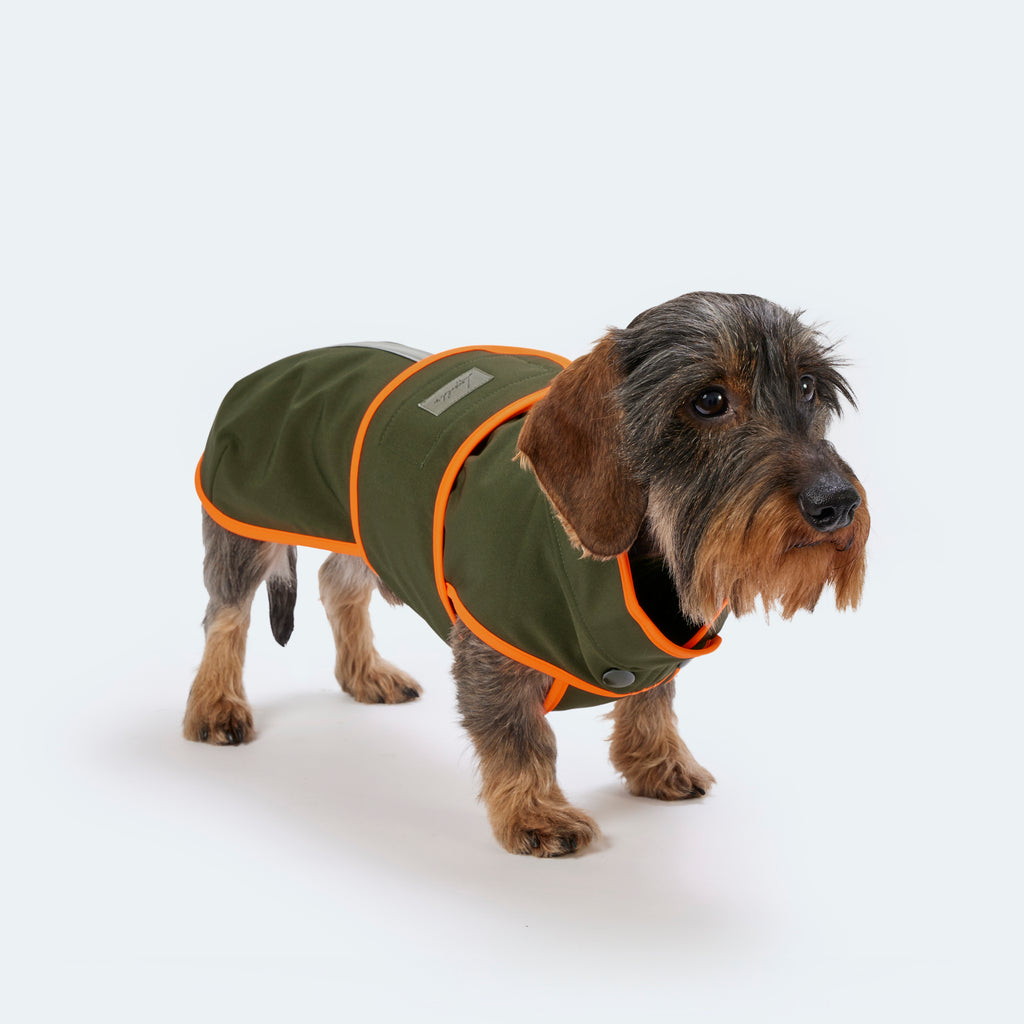 Softshell coat dachshund & small dogs in olive | leopolds-finest